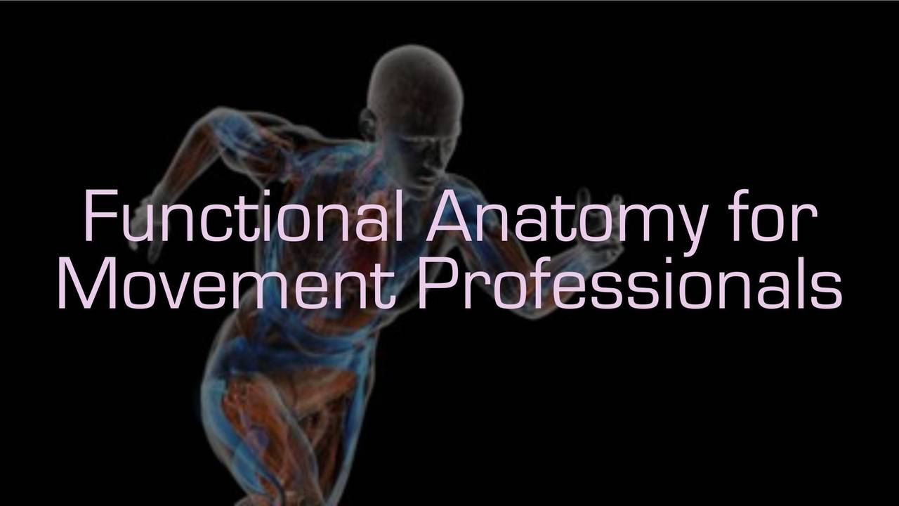 Functional-Anatomy-for-Movement-Professionals - Pilates-In-The-Grove