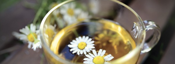 Tuesday Tea Time Series